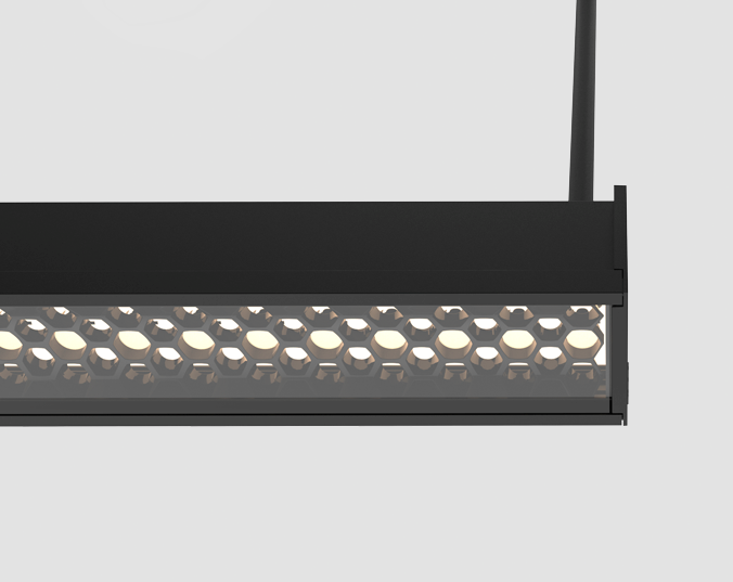 Bold Linear Range | Bold