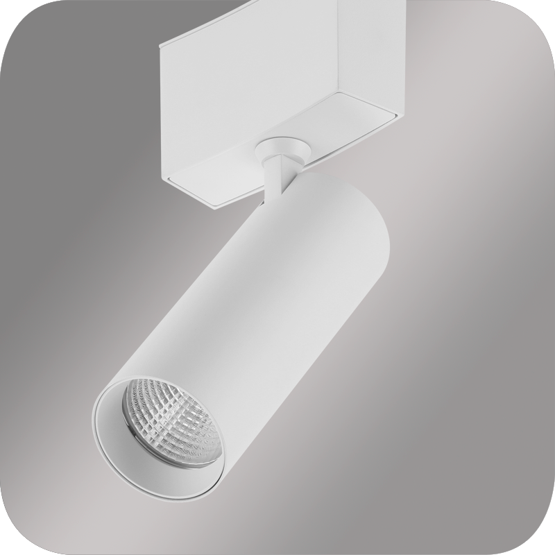 Specter Modules By Bold Lighting | Snoot 1 Curve