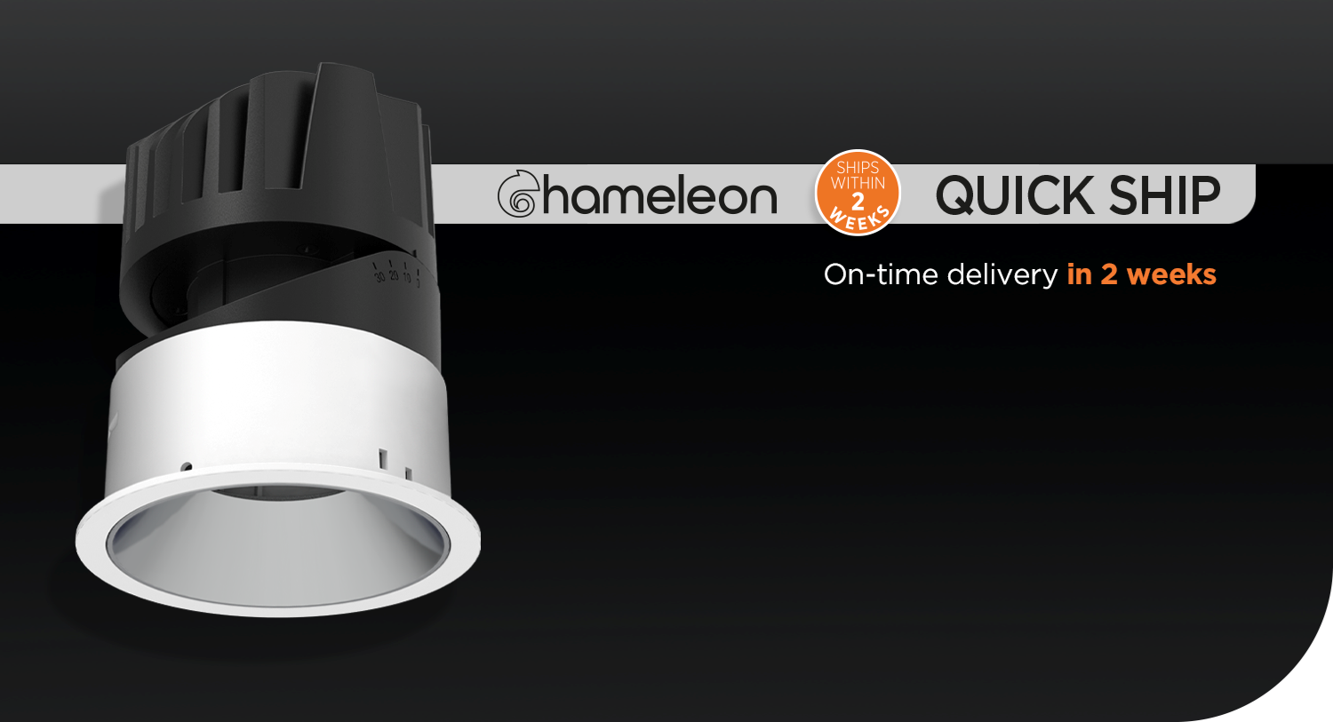 Bold Official Website | Architectural Bold Lighting